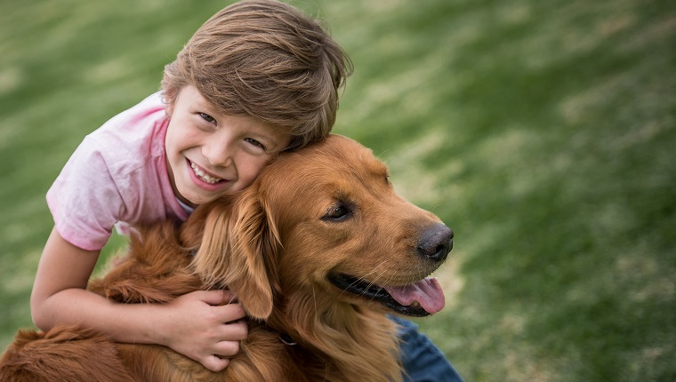 10 Best Kid-Friendly Dog Breeds For Families - DogTime