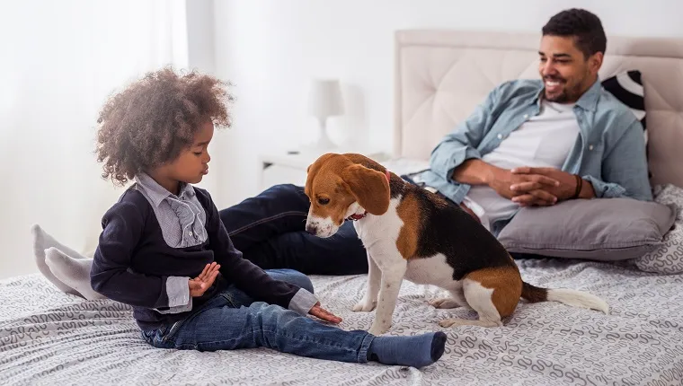10 Best Kid-Friendly Dog Breeds For Families - DogTime