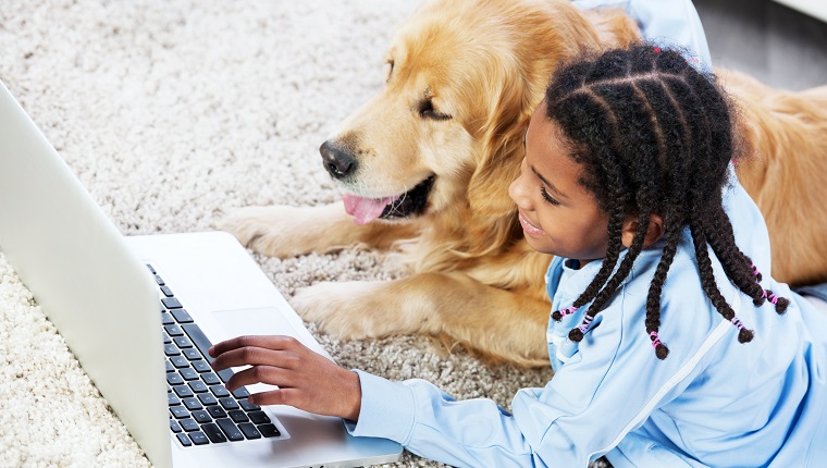 10 Best Kid-Friendly Dog Breeds For Families - DogTime