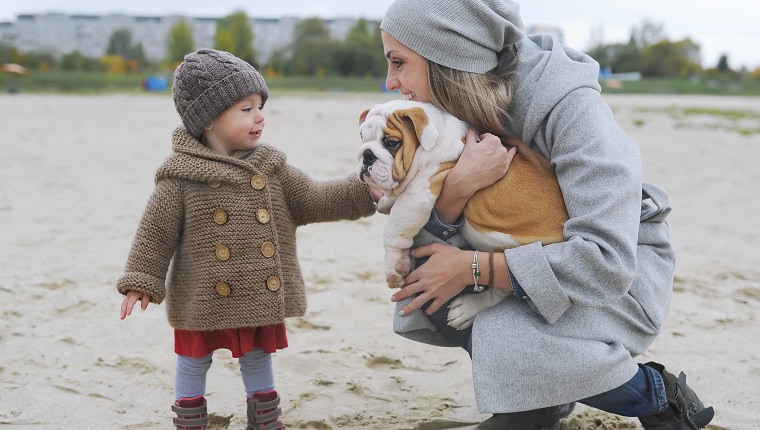 10 Best Kid-Friendly Dog Breeds For Families - DogTime