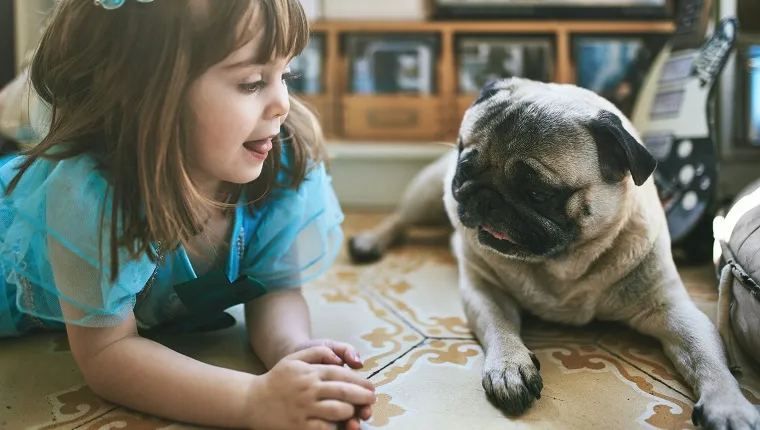 10 Best Kid-Friendly Dog Breeds For Families - DogTime
