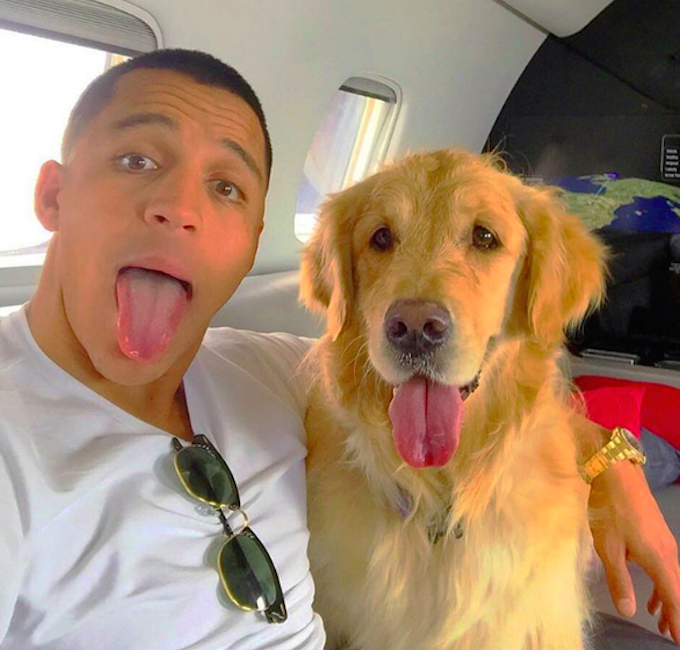 Celeb Pets: Get To Know The Dogs Of 7 Famous Soccer Stars - DogTime
