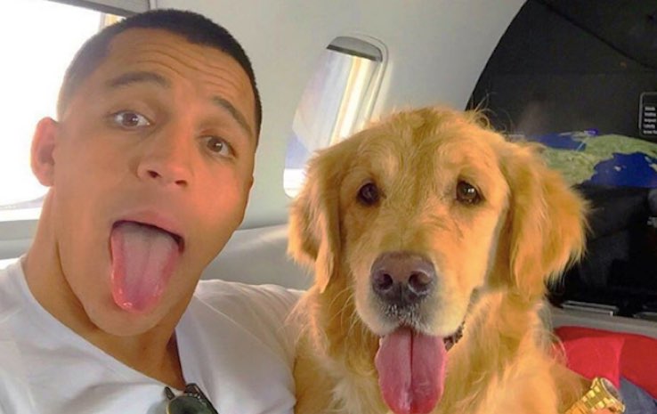 Celeb Pets: Get To Know The Dogs Of 7 Famous Soccer Stars - DogTime