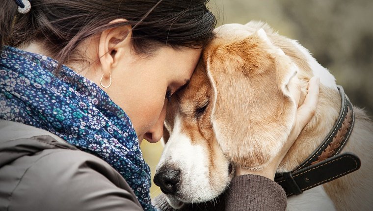 Before You Return That Rescue Dog To The Shelter... - DogTime