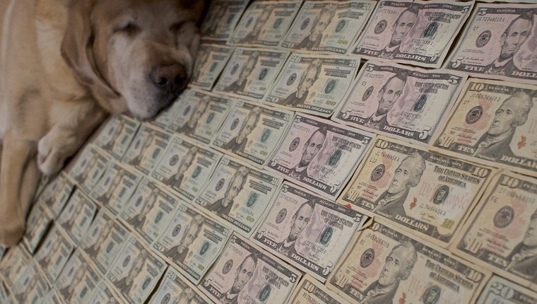 Pet Expenses That Are Tax-Deductible - DogTime
