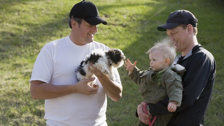 How Do You Get Your Neighbor's Dog To Stop Barking? - DogTime