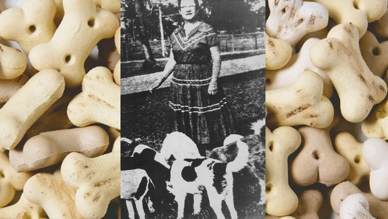10 Lucky Dogs Who Inherited Big Fortunes - DogTime