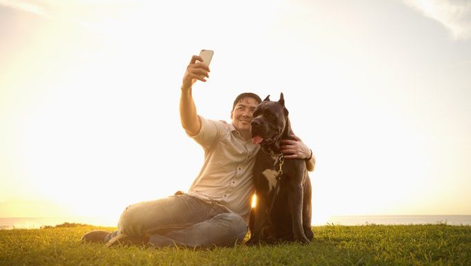 How To Take The Best Pictures Of Your Dog - DogTime