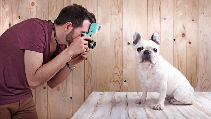 How To Take The Best Pictures Of Your Dog - DogTime