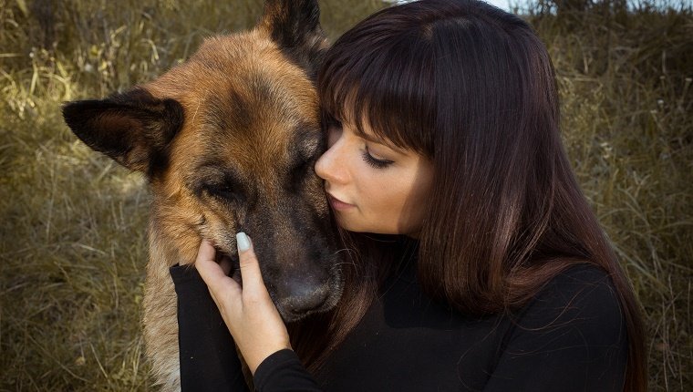 Hug Your Hound Day: How To Teach Your Dog To Give Hugs - DogTime