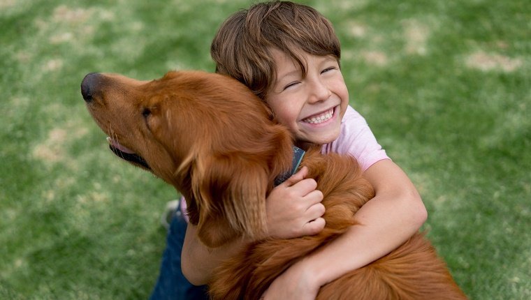 Hug Your Hound Day: How To Teach Your Dog To Give Hugs - DogTime