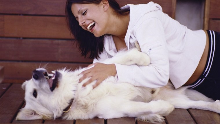 Dog Growling: What It Means & What You Should Do - DogTime