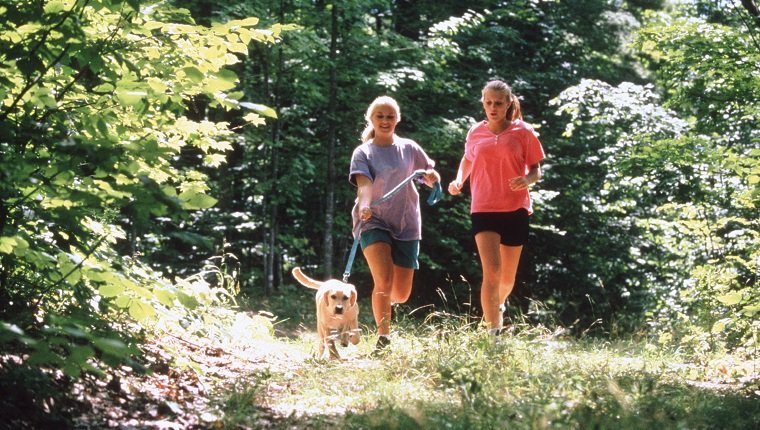 Is Jogging Or Running Safe For Dogs? - DogTime