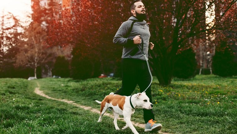 Is Jogging Or Running Safe For Dogs? - DogTime