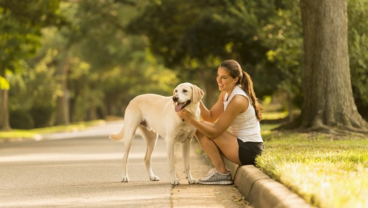Is Jogging Or Running Safe For Dogs? - DogTime