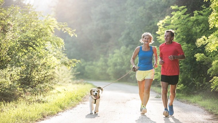 Is Jogging Or Running Safe For Dogs? - DogTime