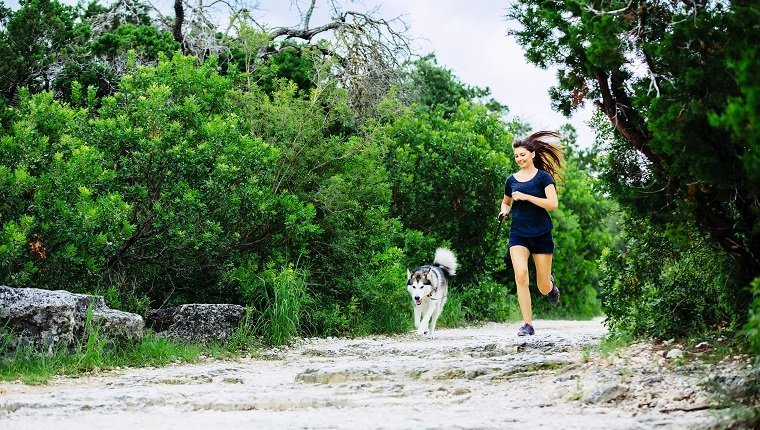 Is Jogging Or Running Safe For Dogs? - DogTime
