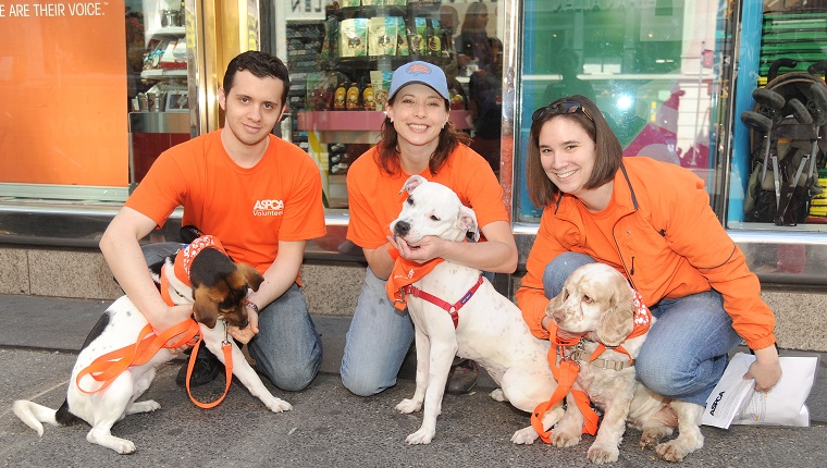 Facts About The ASPCA And What They Do For Dogs - DogTime