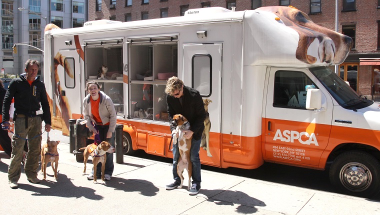 Facts About The ASPCA And What They Do For Dogs - DogTime