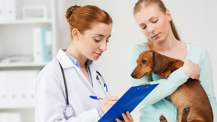 Levothyroxine For Dogs: Uses, Dosage, And Side Effects