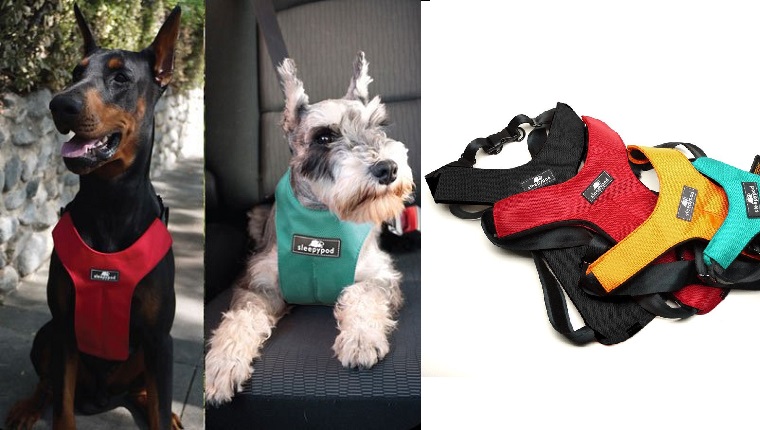 Holiday Gift Guide: Best Dog Accessories For 2020 - DogTime