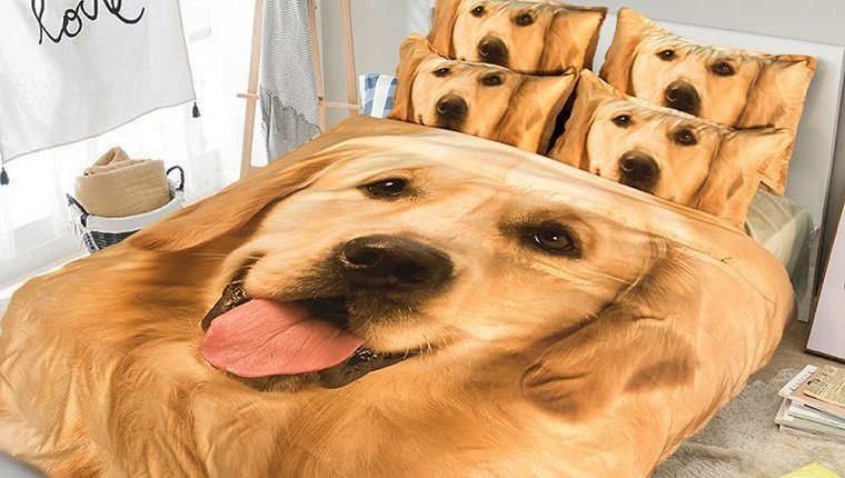 10 Wag-worthy Holiday Gift Ideas For Golden Retriever Lovers - DogTime