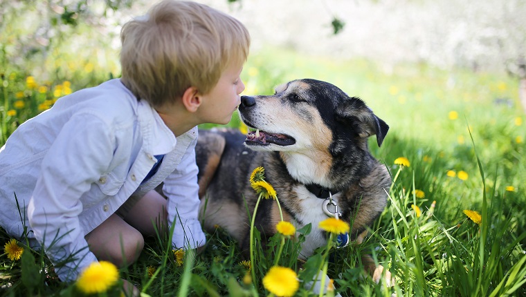 Dog Mom: Is Your Dog Your Child? - DogTime