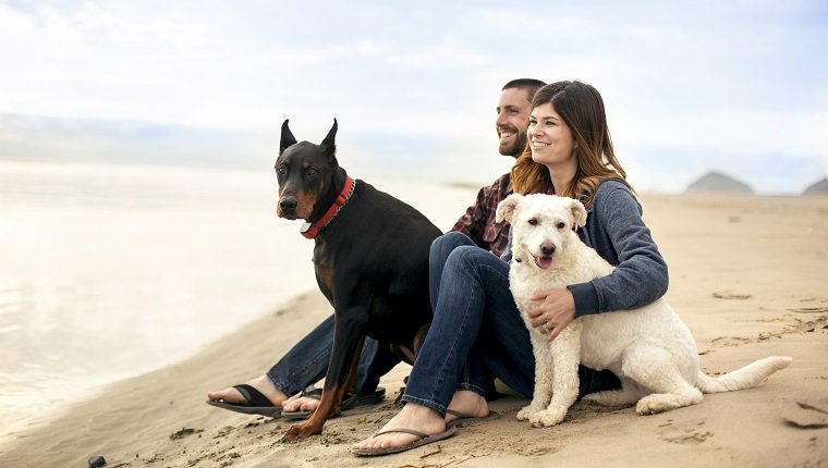 8 Great Dating Tips To Help Dog Lovers Share Their Puppy Love - DogTime