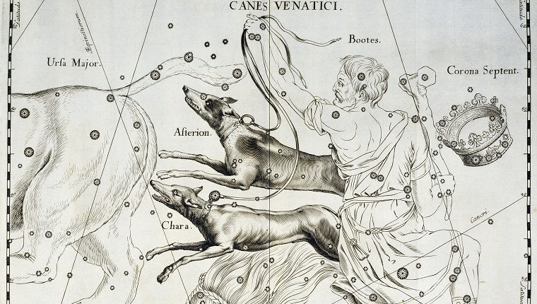 Dogs In Astronomy: Look Up To See The Pups - DogTime