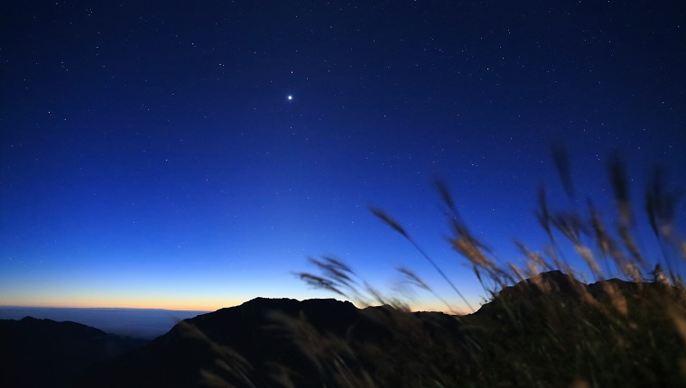 Dogs In Astronomy: Look Up To See The Pups - DogTime