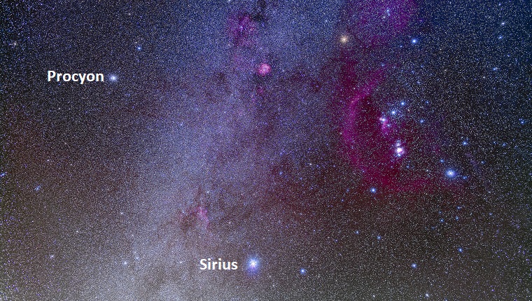 Dogs In Astronomy: Look Up To See The Pups - DogTime