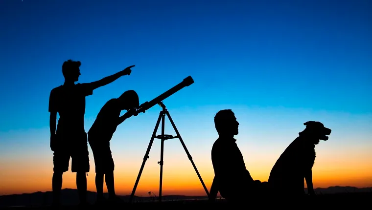 Dogs In Astronomy: Look Up To See The Pups - DogTime