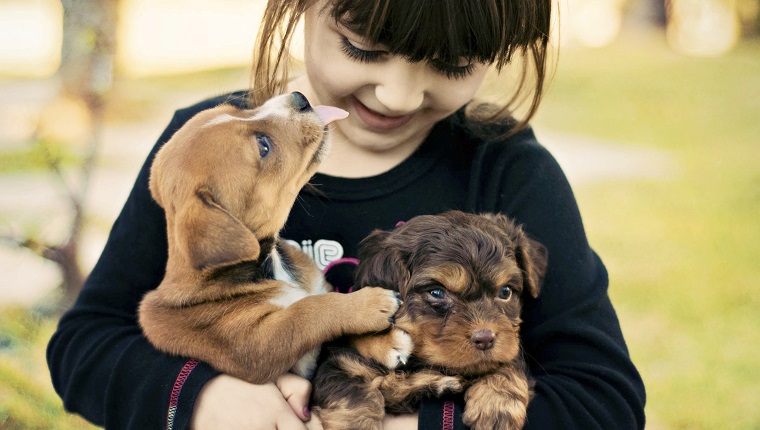 National Puppy Day: 5 Ways To Help Puppies In Need - DogTime