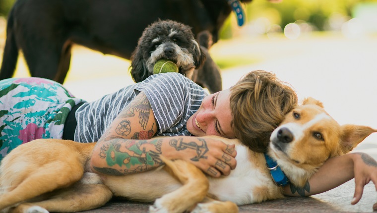National Pet Week: 7 Awesome Things You Can Do For Dogs To Say Thanks ...