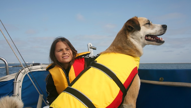 Going Boating With Your Dog? Follow These Safety Tips - DogTime