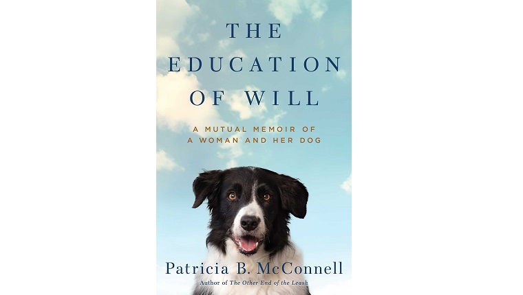 Summer Reading List: 10 Books For Dog Lovers - DogTime