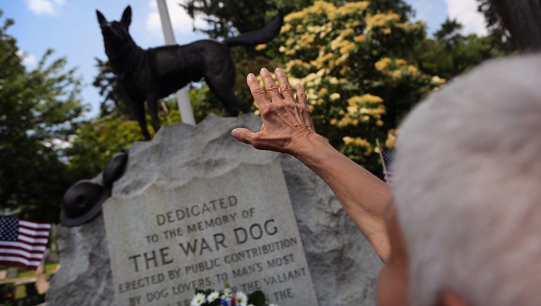 Memorial Day: Remembering Military Dogs Killed In Action - DogTime