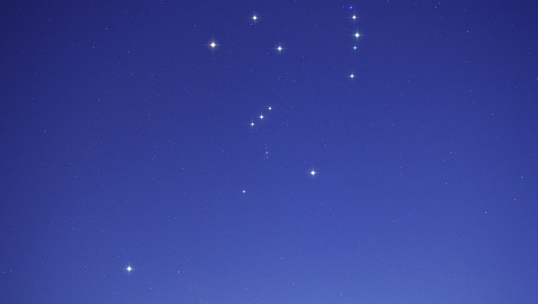 The Dog Days Of Summer: What & When Are They? - DogTime