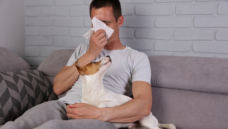 The Difference In Dog Hair Vs. Fur And Why It Matters