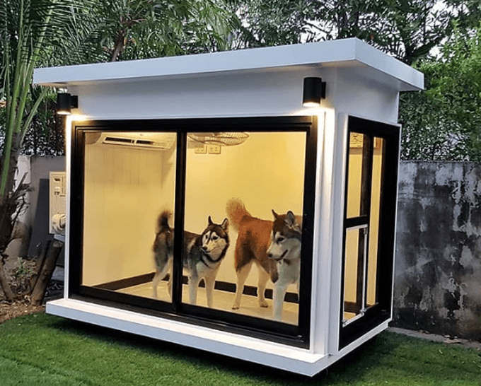 30 Most Amazing Dog Houses [PICTURES] - DogTime