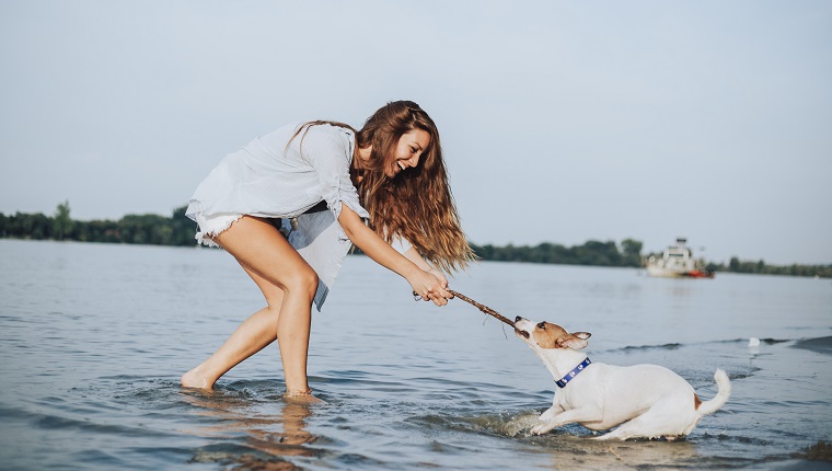 10 Fun Summertime Activities & Vacation Ideas For You And Your Dog ...