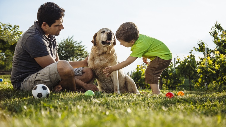 10 Fun Summertime Activities & Vacation Ideas For You And Your Dog ...