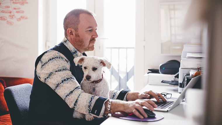 Social Petworking Month: Help Shelter Animals On Social Media In June ...