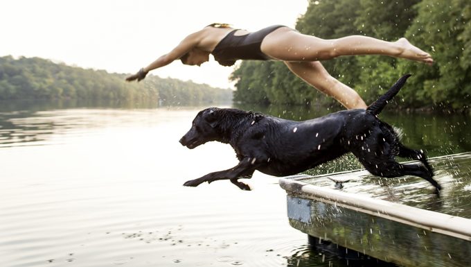10 Fun Summertime Activities & Vacation Ideas For You And Your Dog ...