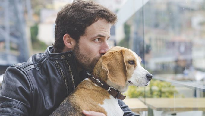 Responsible Dog Ownership Month: 6 Tips To Be A Better Human For Your ...
