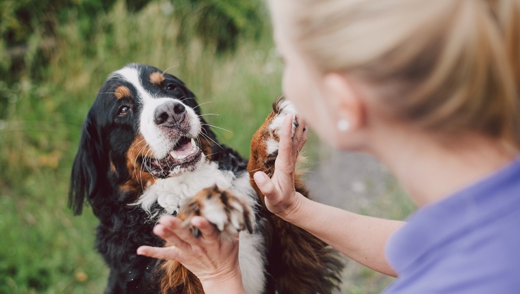 6 Ways To Connect With Your Dog On A Deeper Level