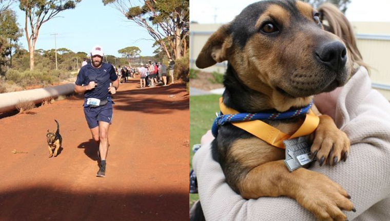 This Man Has Run Daily Marathons With His Dogs for Over Two Months ...