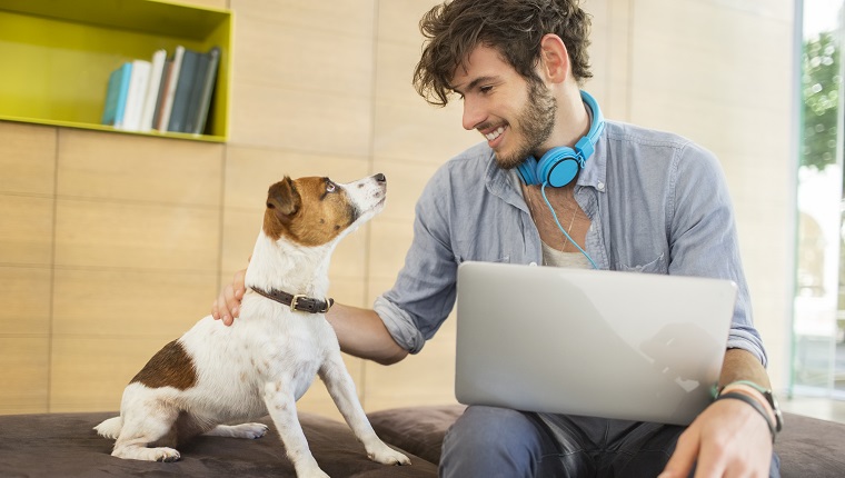 How To Get A Job As A Dog Walker - DogTime
