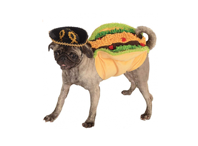 Dress Your Dog Up Like Your Favorite Food For Delicious Halloween Fun ...