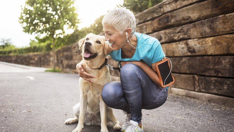 October Is Pet Wellness Month: 10 Tips For Dog Wellness - DogTime